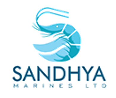 Sandhya Marines Share Price - Financials, Valuation and News